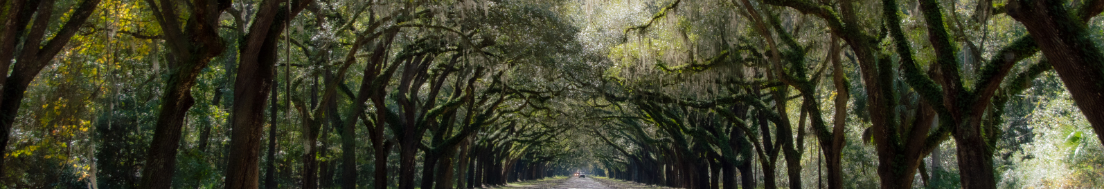 Meet The Team - Crosswinds Golf Club